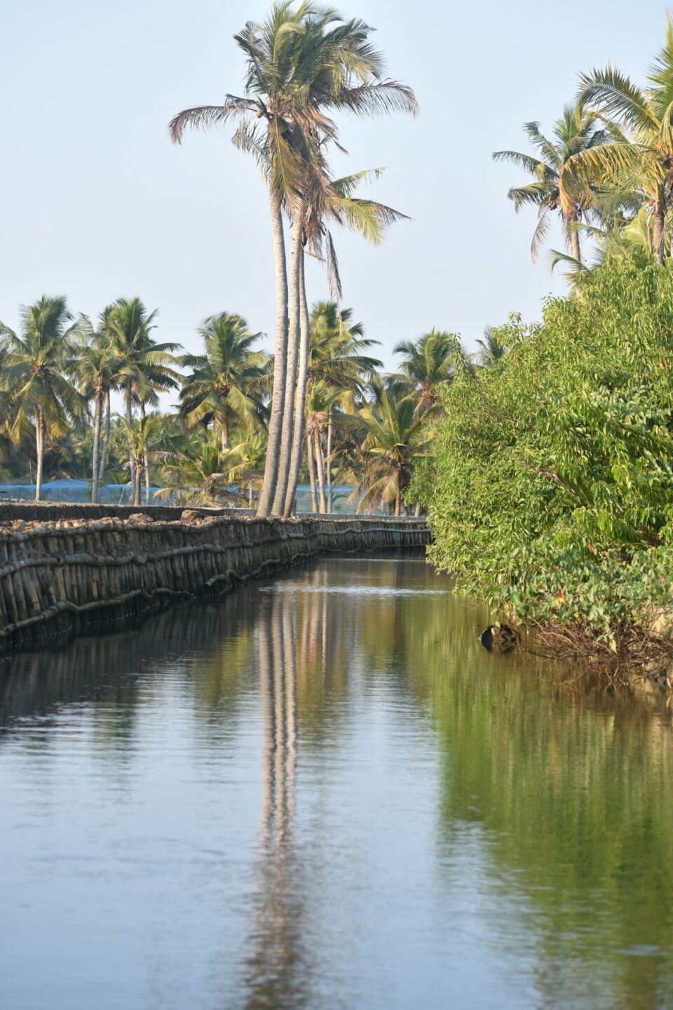 Munroe Island, a hidden pearl | Travel Links