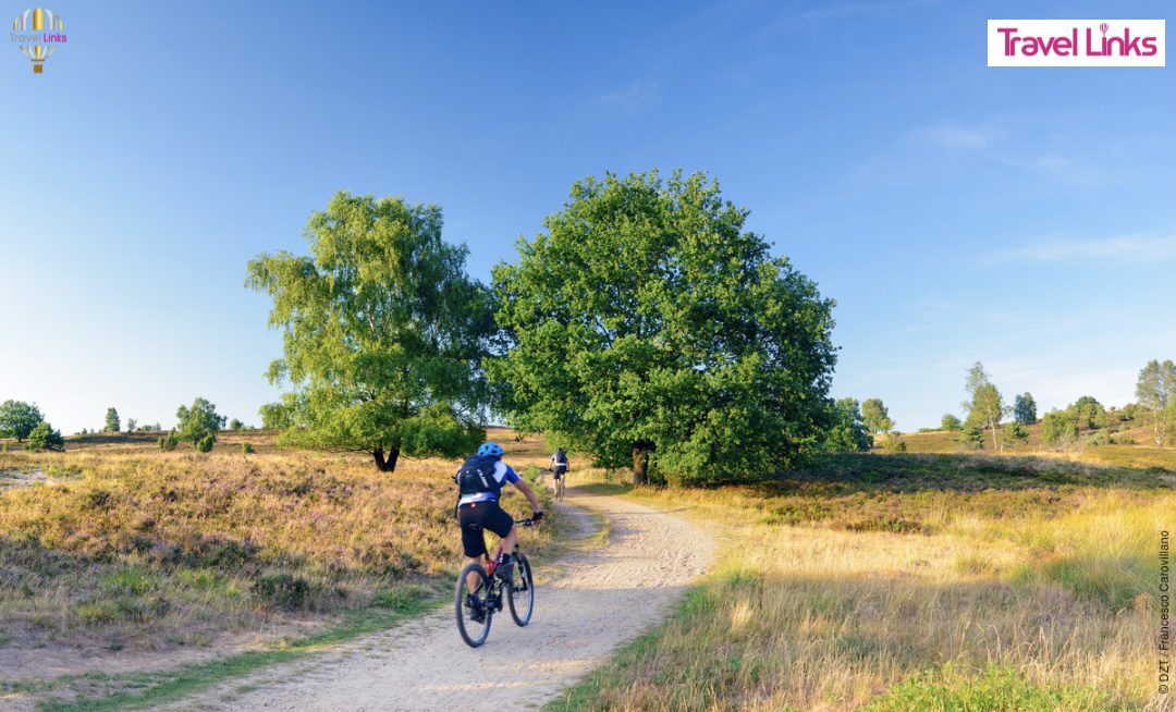 Germany relaunches Embrace German Nature Campaign | Travel Links